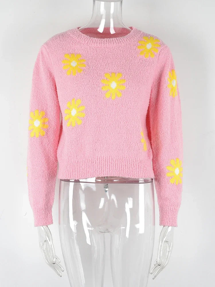 סריג DVORA – LaMess